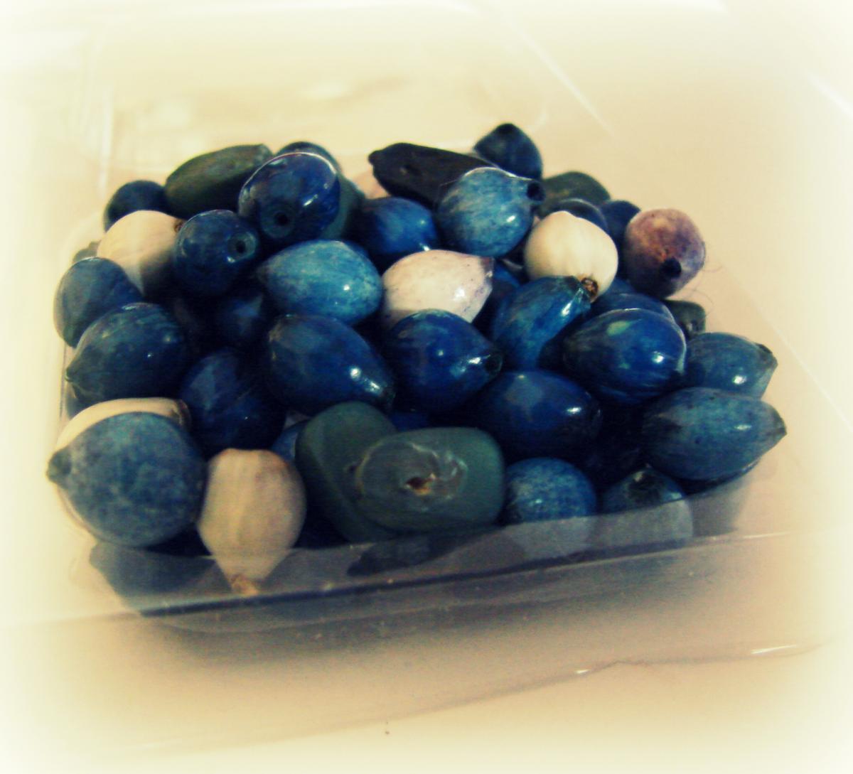 Jewelry Supplies. Organic Jobs Tears Seed Beads. Pack Of 100 Mixed ...